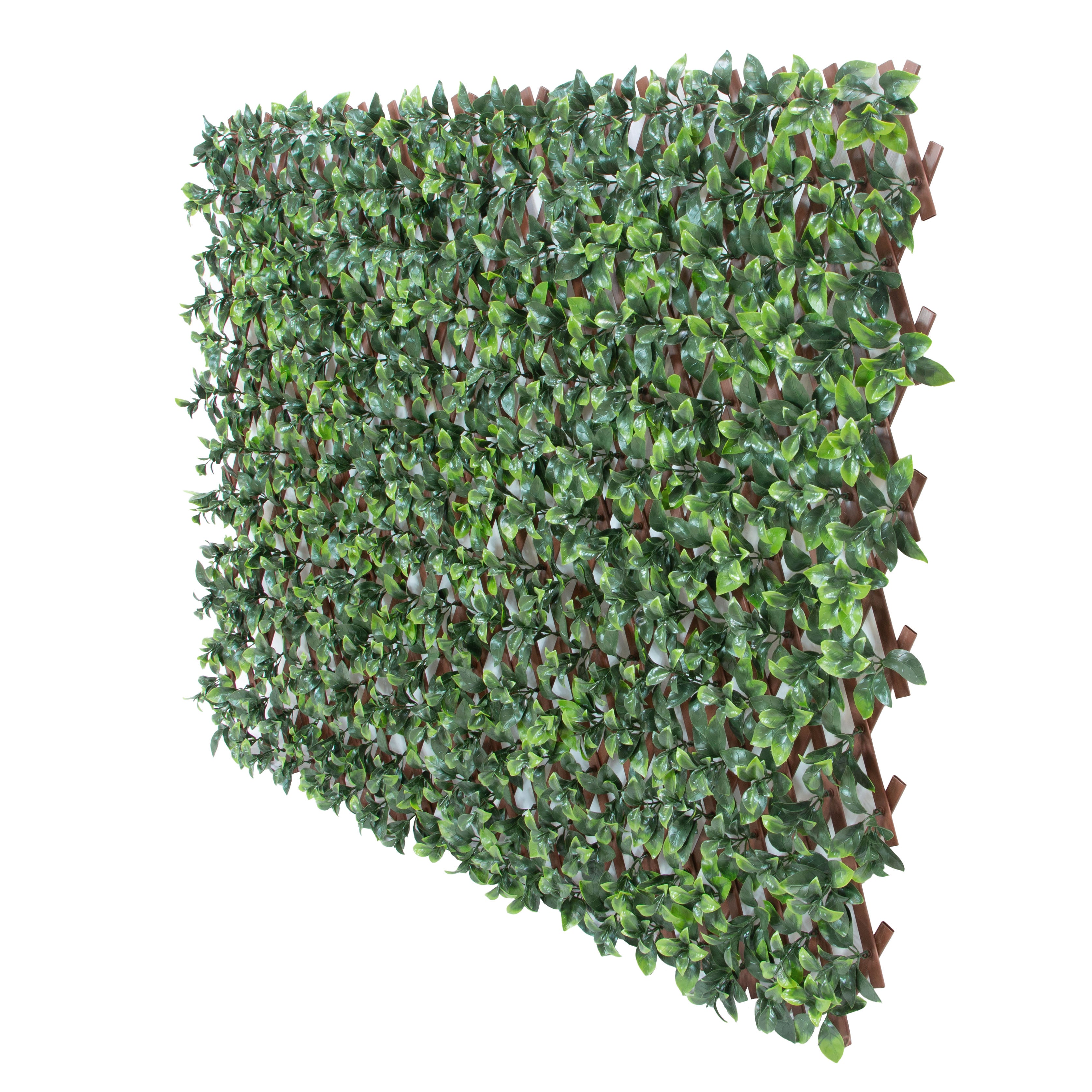 Gardenia 34 in. x 76 in. Expandable Trellis (2-Pack) – creative-surfaces